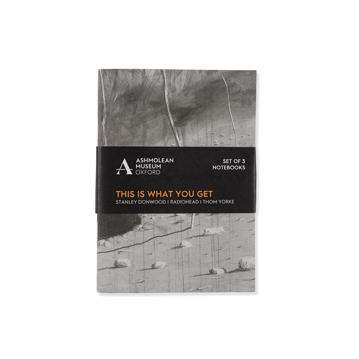 This Is What You Get– Ashmolean Museum