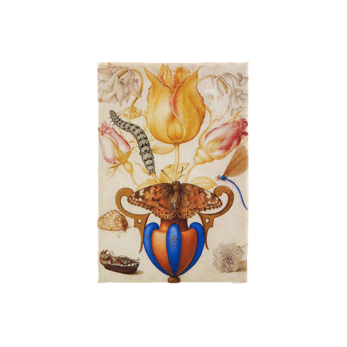 Arrangement Of Flowers Magnet by Joris Hoefnagel– Ashmolean Museum