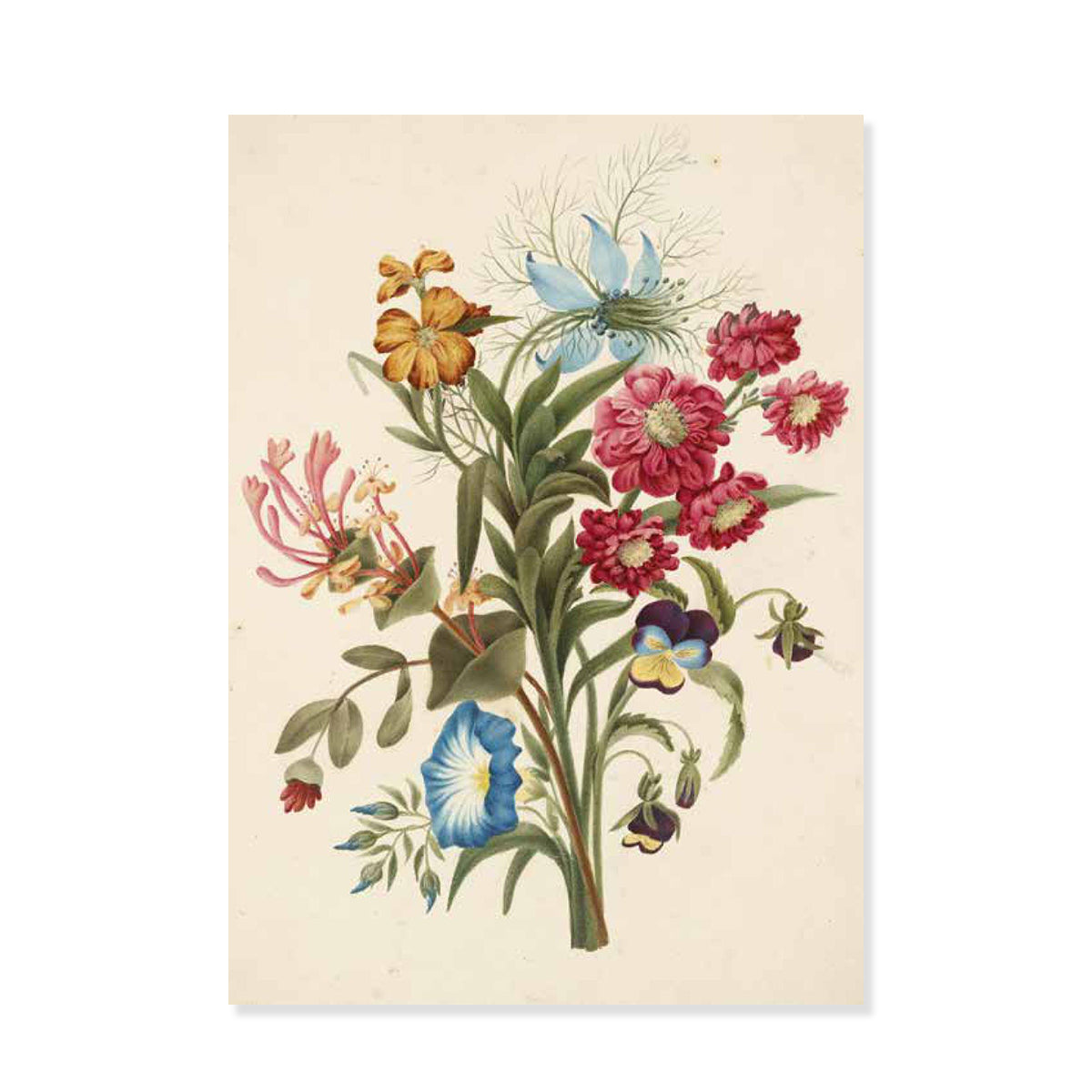 Bunch of Country Flowers Greetings Card– Ashmolean Museum
