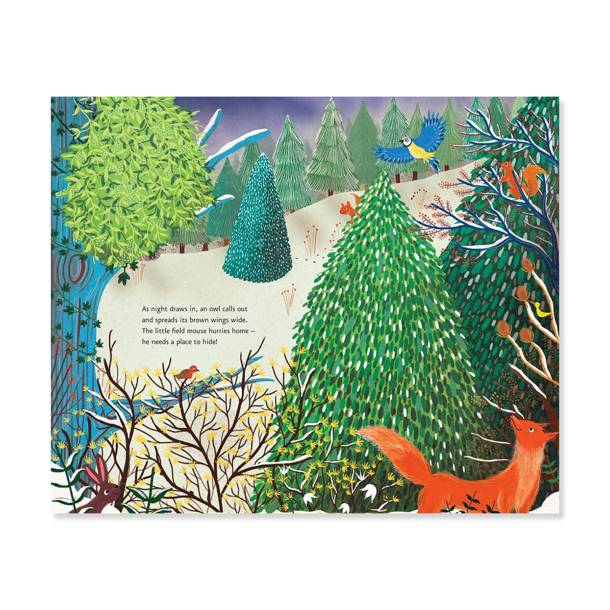 Ashmolean Museum Shop