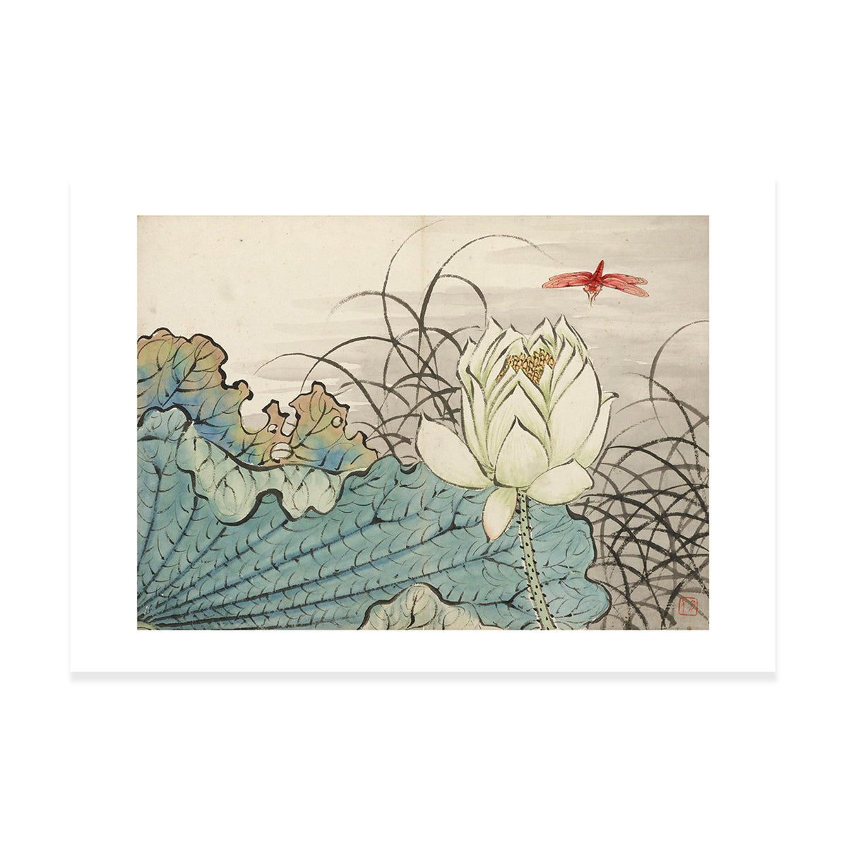 Lotus Flower and Dragonfly Premium Print– Ashmolean Museum