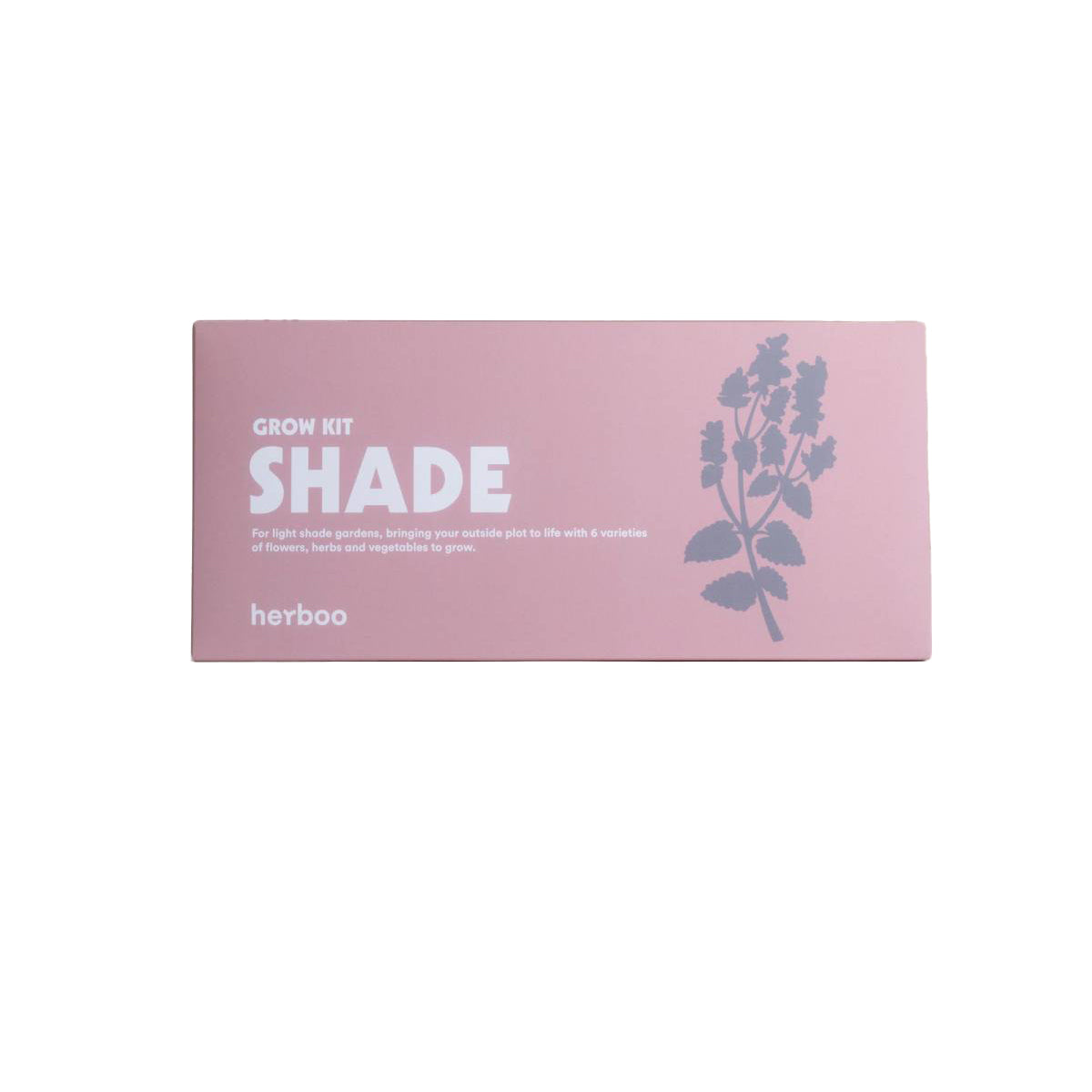 Shade Garden Grow Kit– Ashmolean Museum