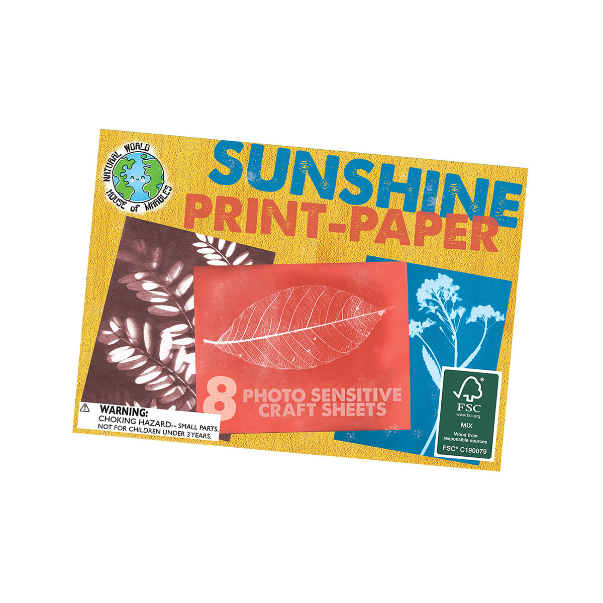 Sunshine Print Paper Kit– Ashmolean Museum
