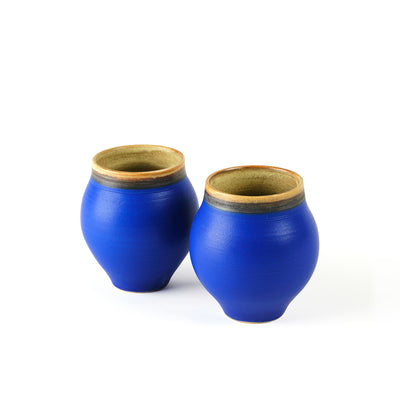 Blue Moon Jar– Ashmolean Museum