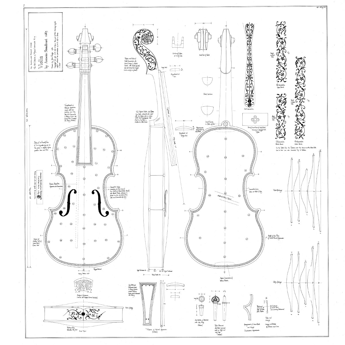 17 Violin Inlaid by A Stradivari Print– Ashmolean Museum