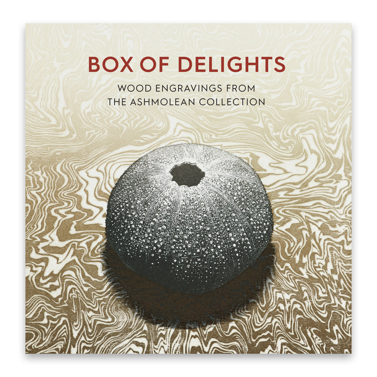 Box of Delights– Ashmolean Museum
