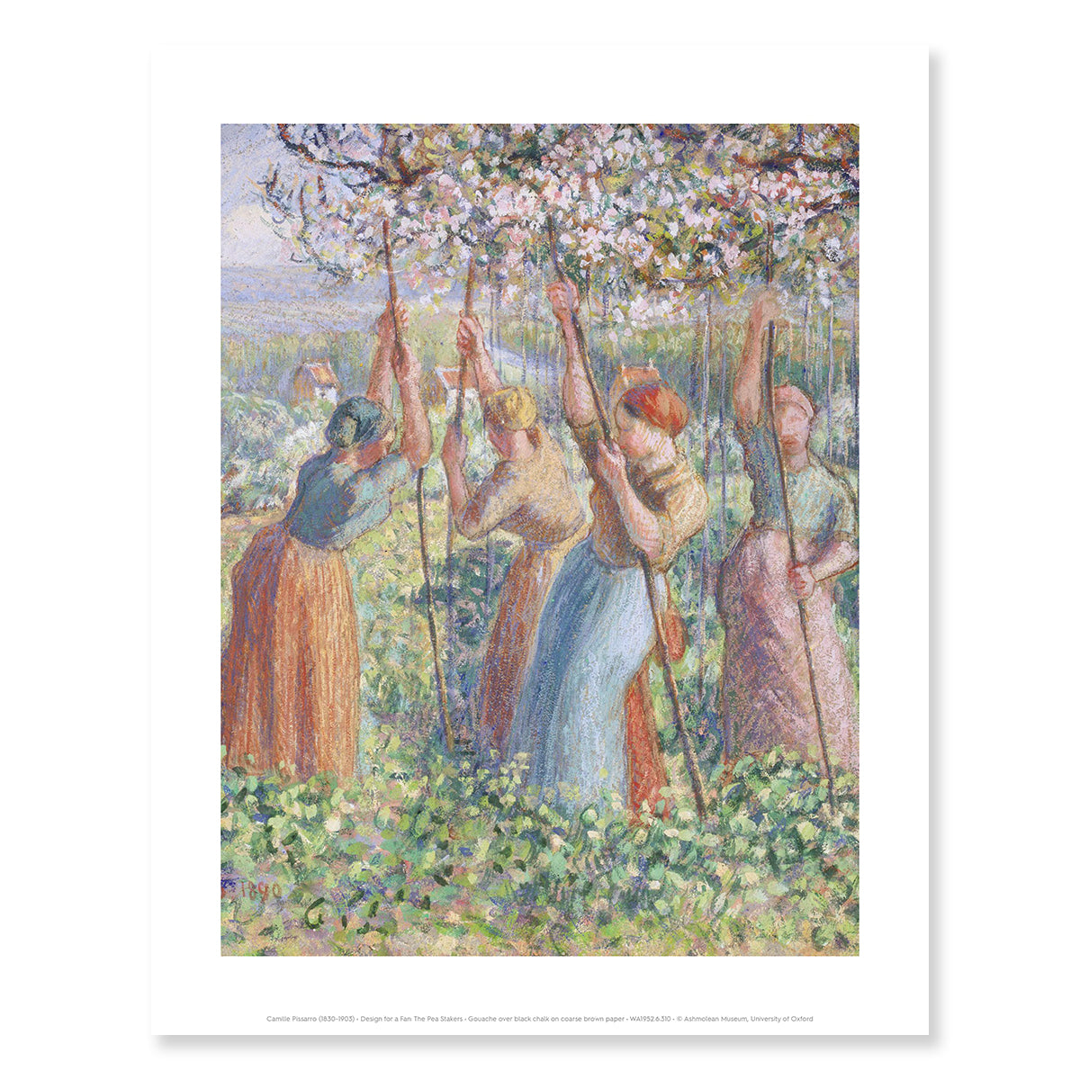 Prints & Posters– Ashmolean Museum