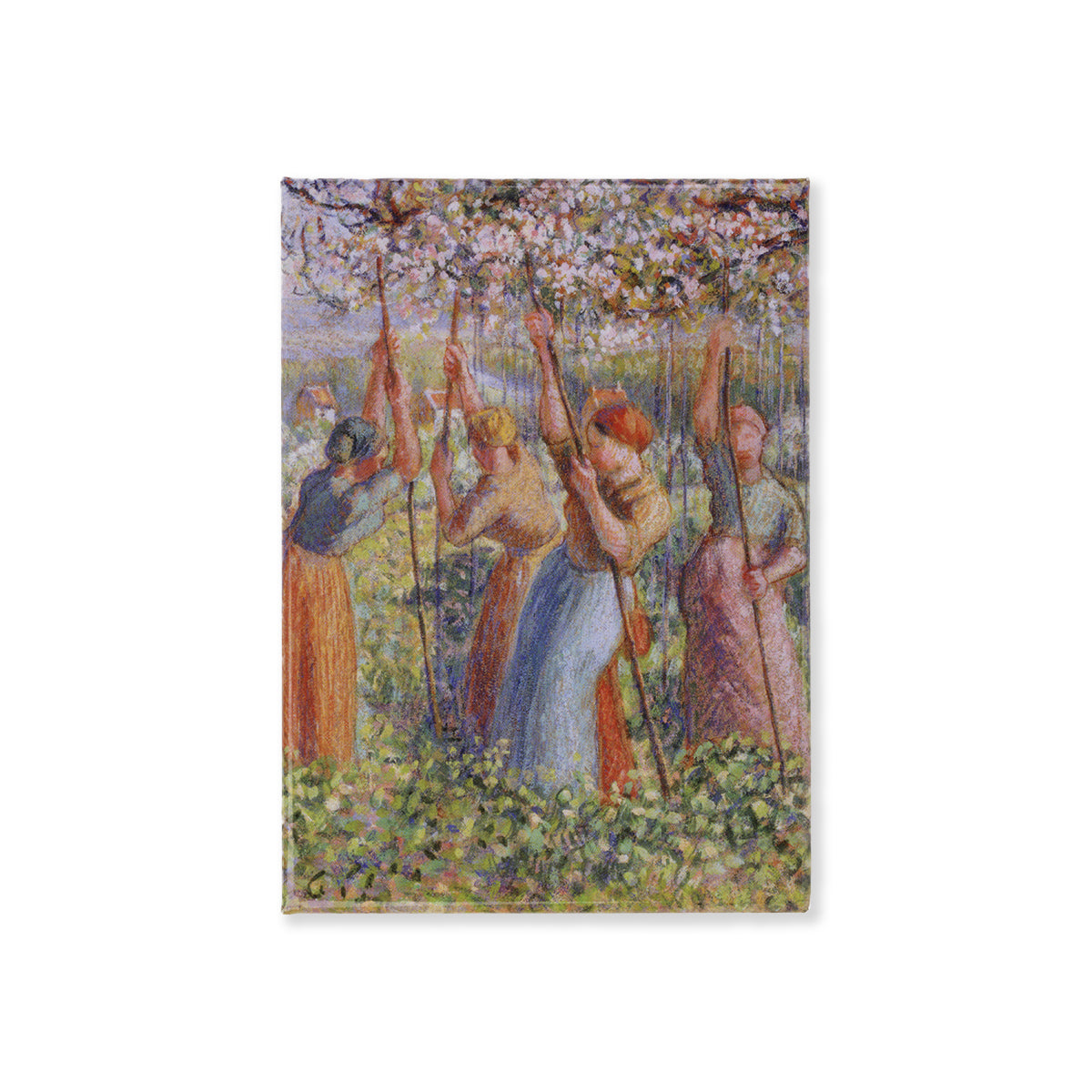 Magnets– Ashmolean Museum