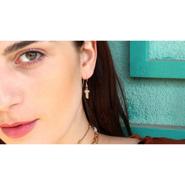 Earrings– Ashmolean Museum